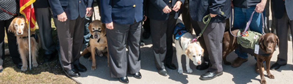 Ontario Command supports service dog program - Legion Magazine