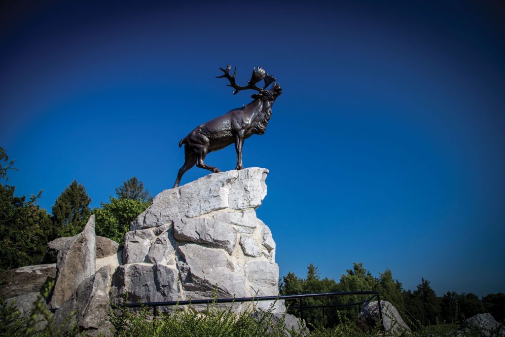 Padre of the Newfoundland Regiment honoured - Legion Magazine