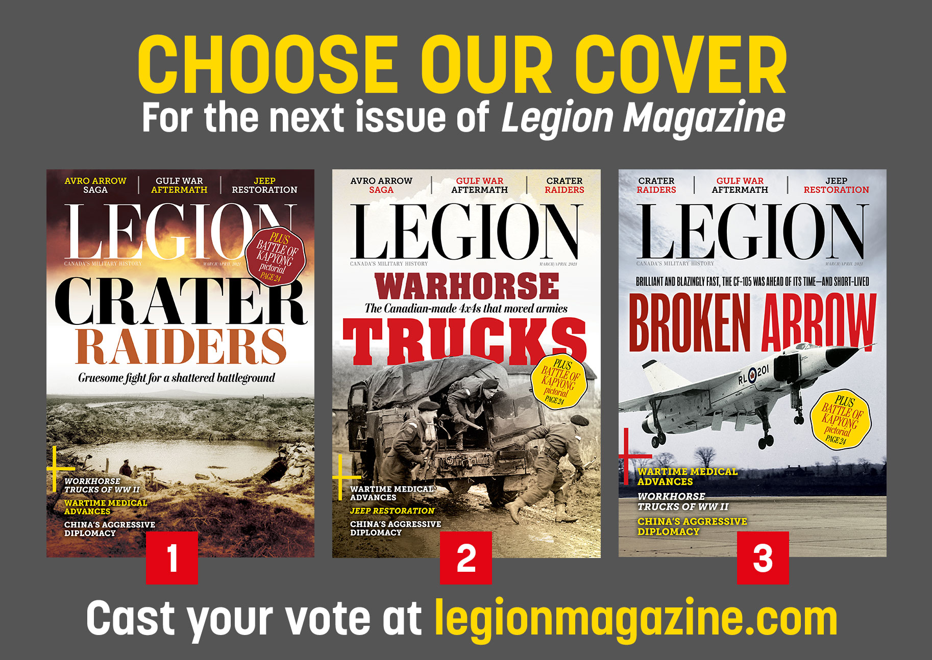 Choose our cover for the next issue of Legion Magazine! - Legion Magazine
