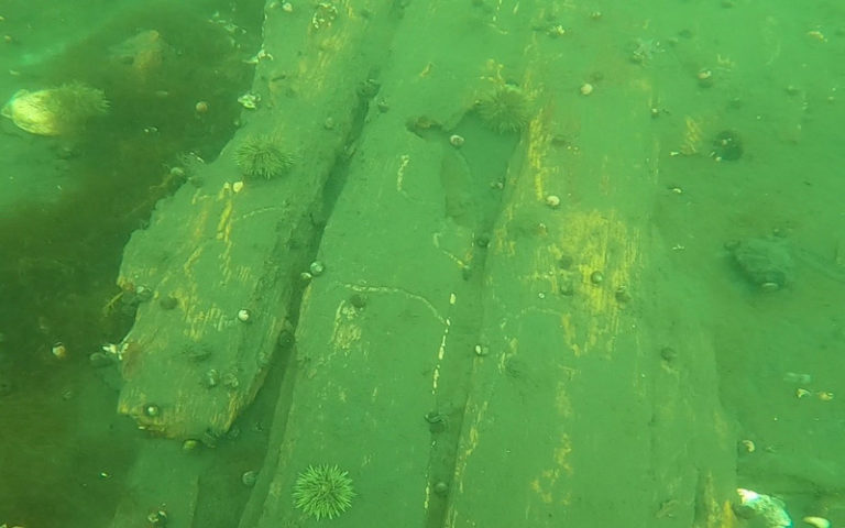 Diver discovers suspected wreckage of Halifax Explosion - Legion Magazine