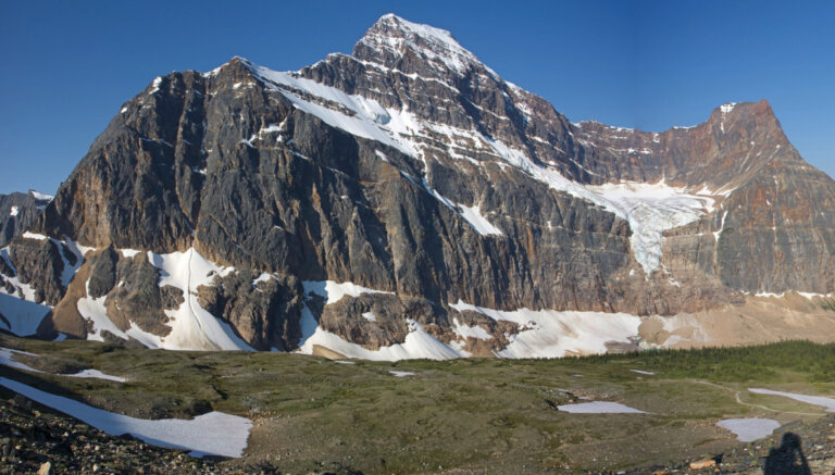 Honouring the sacrifices of nurse Edith Cavell - Legion Magazine