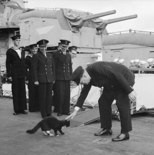In defence of cat ladies, and gentlemen: The tale of Unsinkable Sam and ...