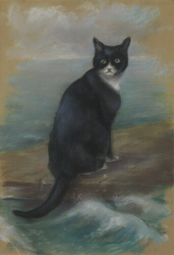 In defence of cat ladies, and gentlemen: The tale of Unsinkable Sam and ...