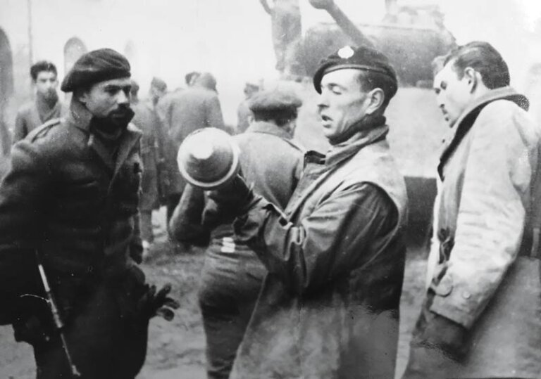 Professor Healy and the partisans - Legion Magazine