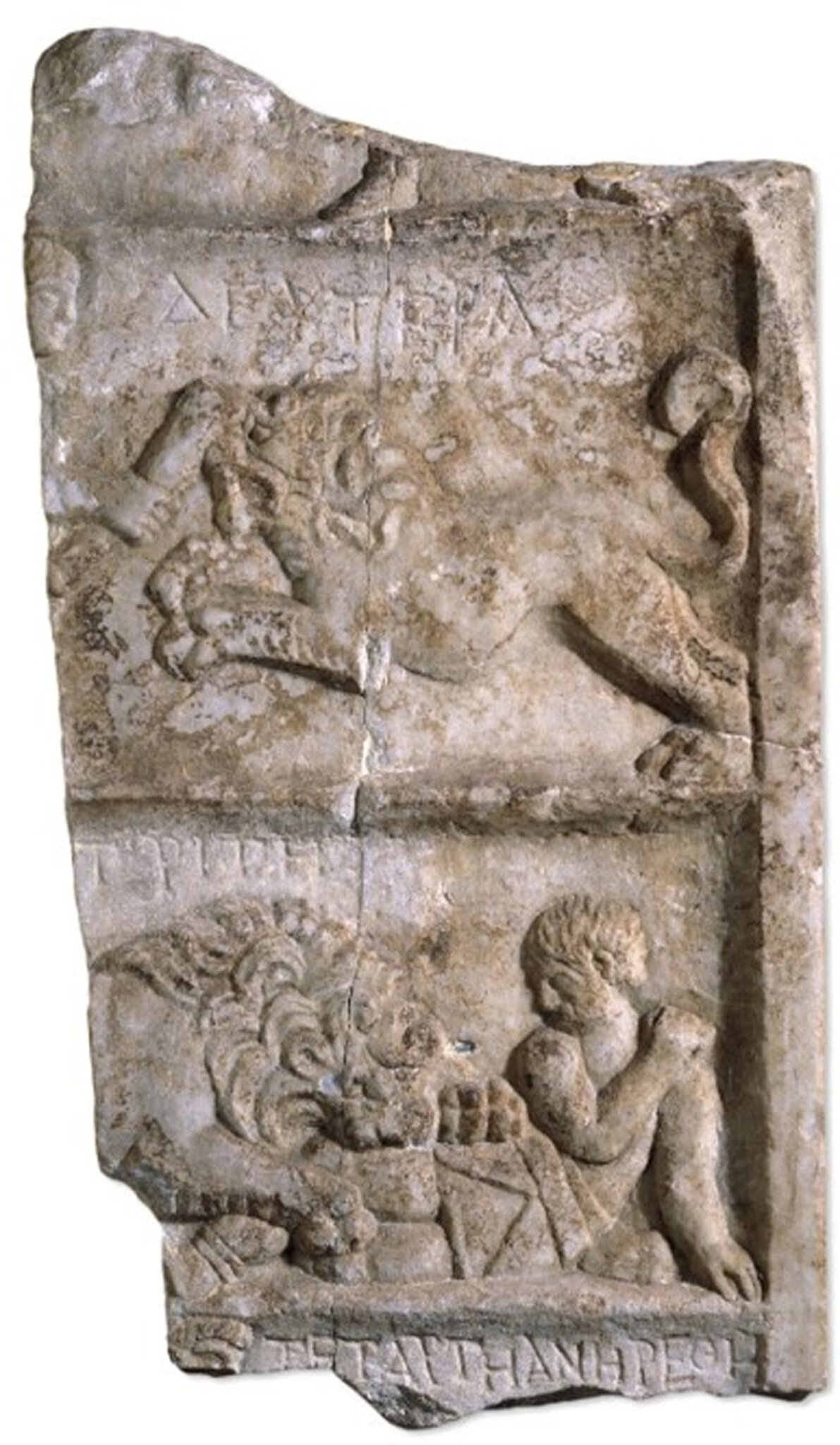 Bites on Roman gladiator’s skeleton first hard proof of combat with ...