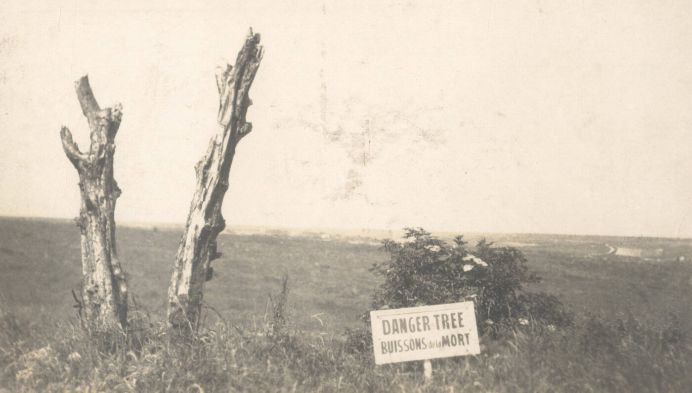 Danger Tree: A cherished symbol of sacrifice gets a new lease on life ...